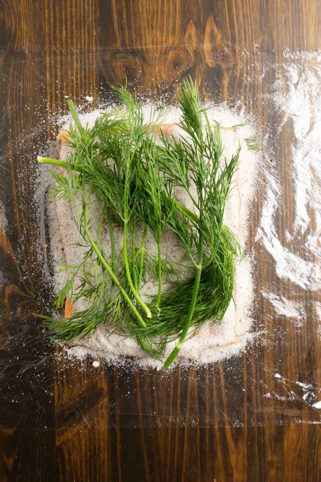 Cured Salmon Gravlax - The Bluster and the Burrow